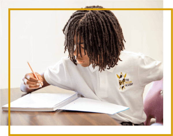 Academics | Critical Thinking by The Wilson Academy
